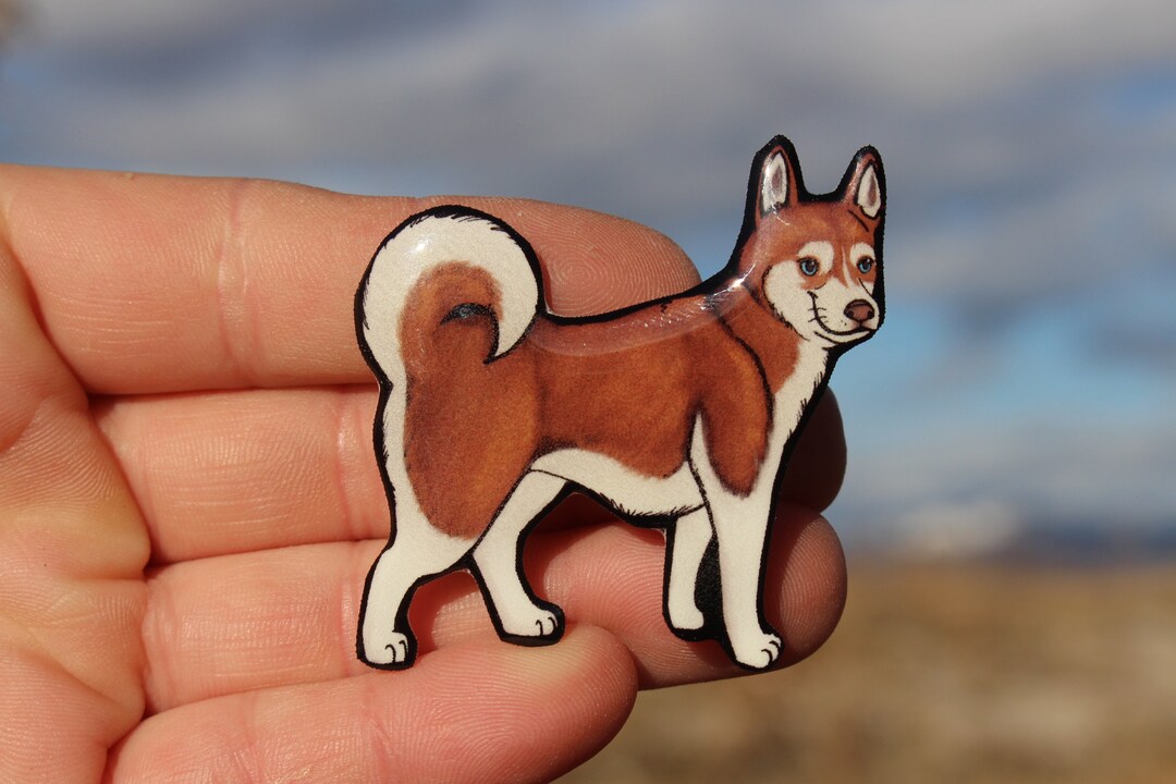Husky Magnet: Gift for Dog Lovers, Teachers, Vet Techs, Veterinarians ...