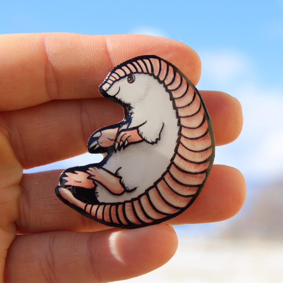 Pink Fairy Armadillo Magnet: Gift for Dillo Lovers, Vet Techs ...