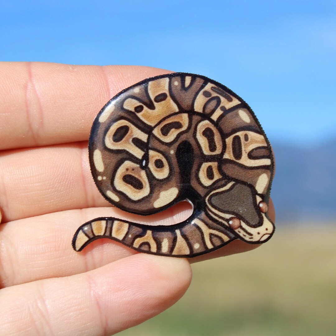 Ball Python Magnet Gift for Snake Lover, Vet Tech, Veterinarian ...