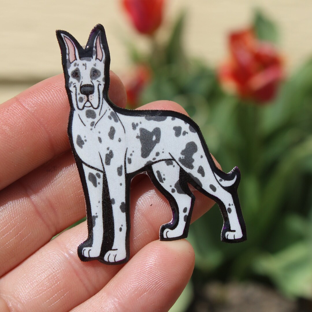 Great Dane Magnet: Gift for Dog Lovers, Vet Techs, Teachers ...