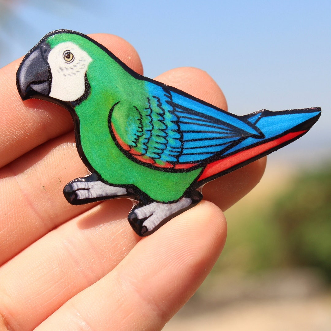 Severe Macaw Magnet: Gift for Parrot Bird Lovers, Vet Techs ...