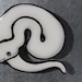 Blue Eyed Leucistic Lucy Ball Python Magnet Gift for Snake Lover or ...
