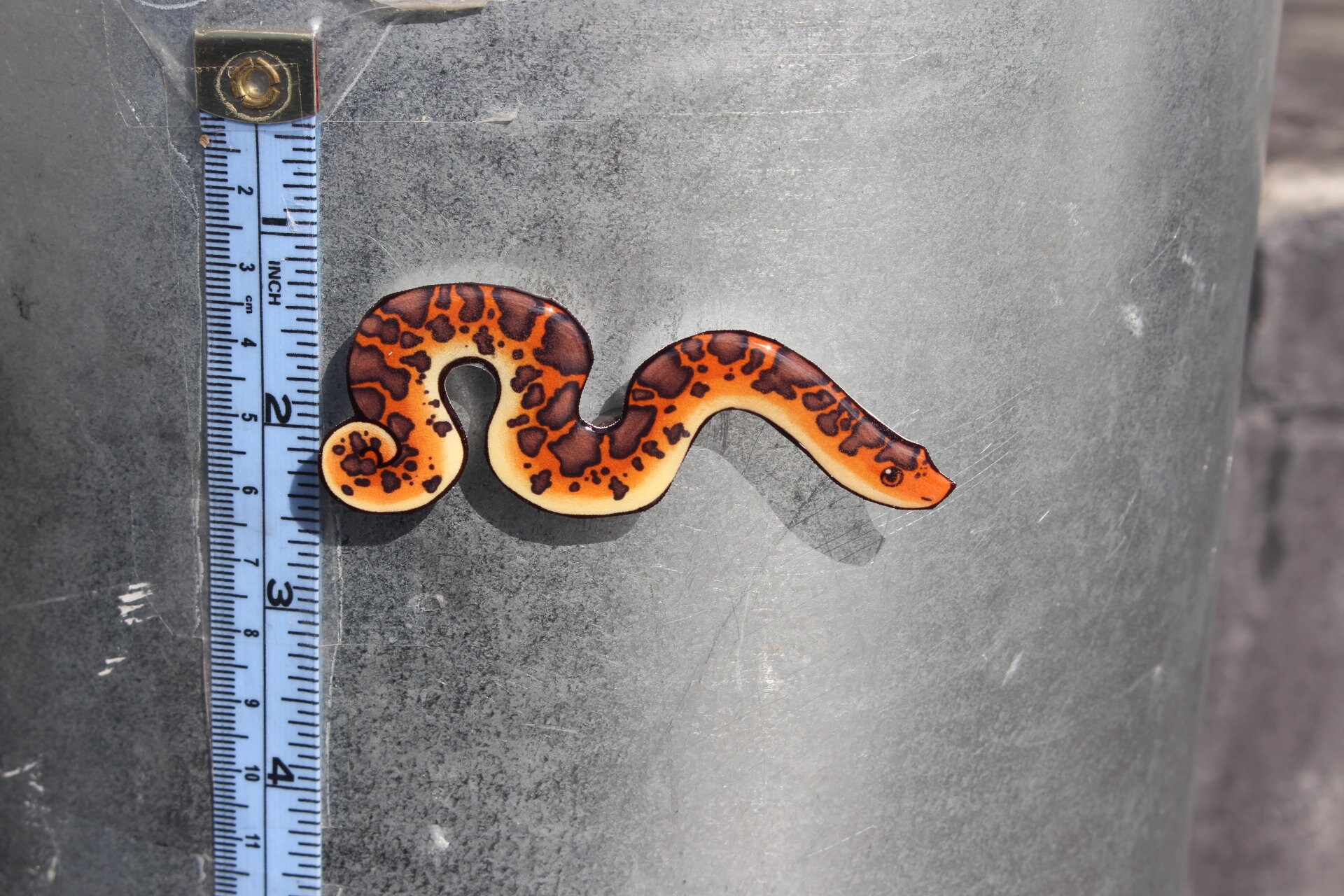 Kenyan Boa Magnet Gift for Snake Lover for Locker or Fridge - Etsy