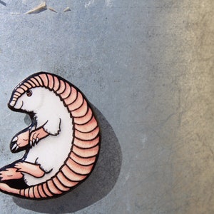 Pink Fairy Armadillo magnet: Gift for dillo lovers vet techs | Etsy