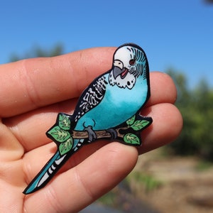 Budgie Magnet: Gift for Parakeet Bird Lovers, Vet Techs, Veterinarians ...