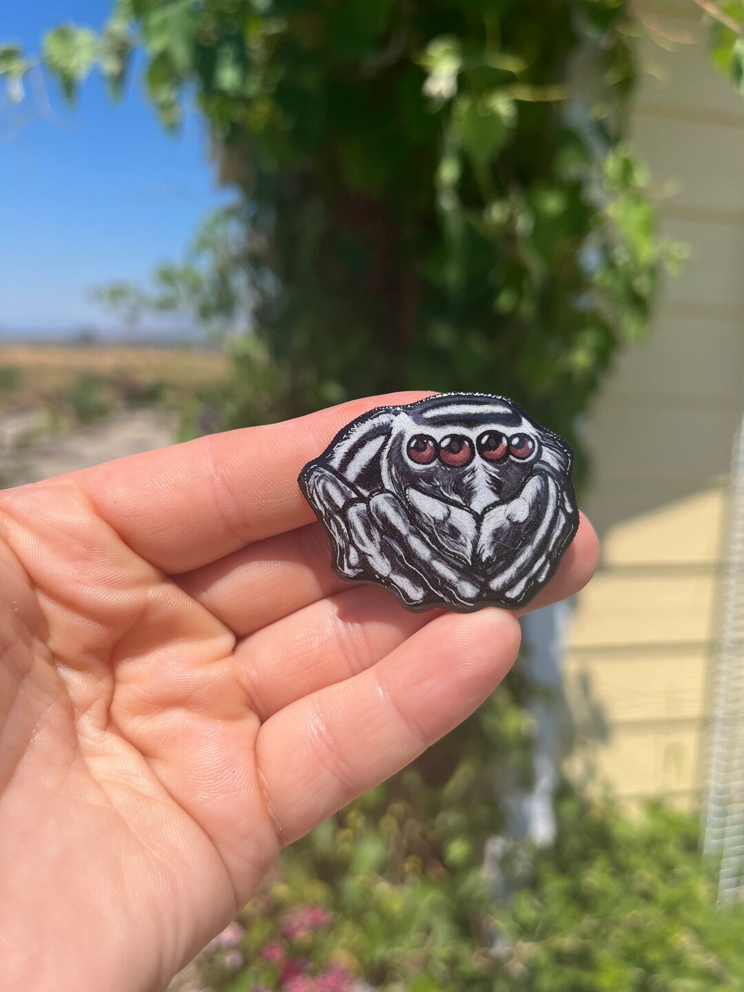 Skeleton Jumping Spider Magnet Gift for Spider Lover, Vet Techs ...