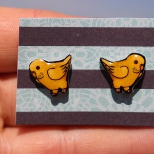 Parakeet Budgie Stud Earrings: Gift for Bird Lovers, Teacher, Vet Tech ...