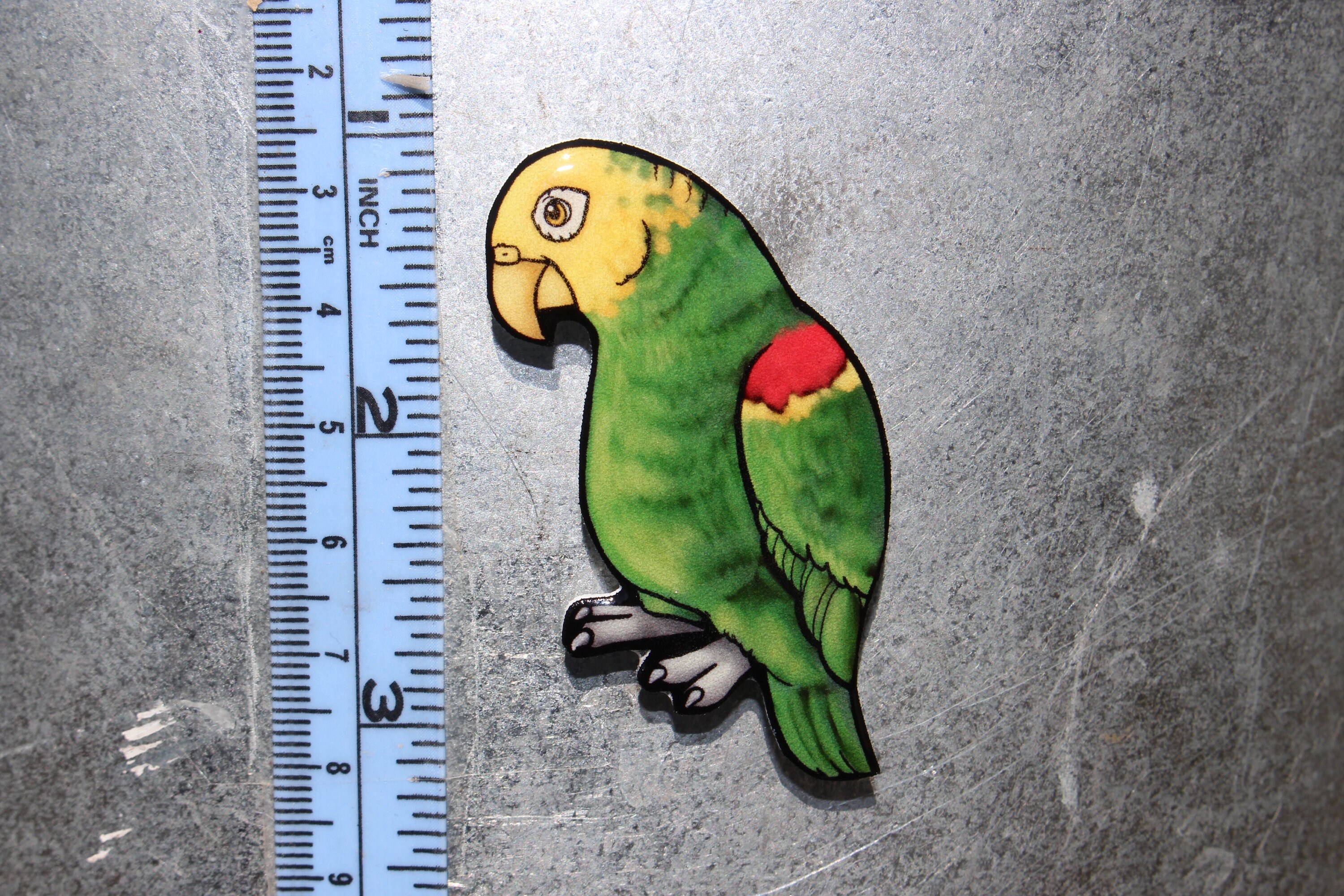 Amazon Parrot Magnet Gift for parrot loverszookeepers vet - Etsy