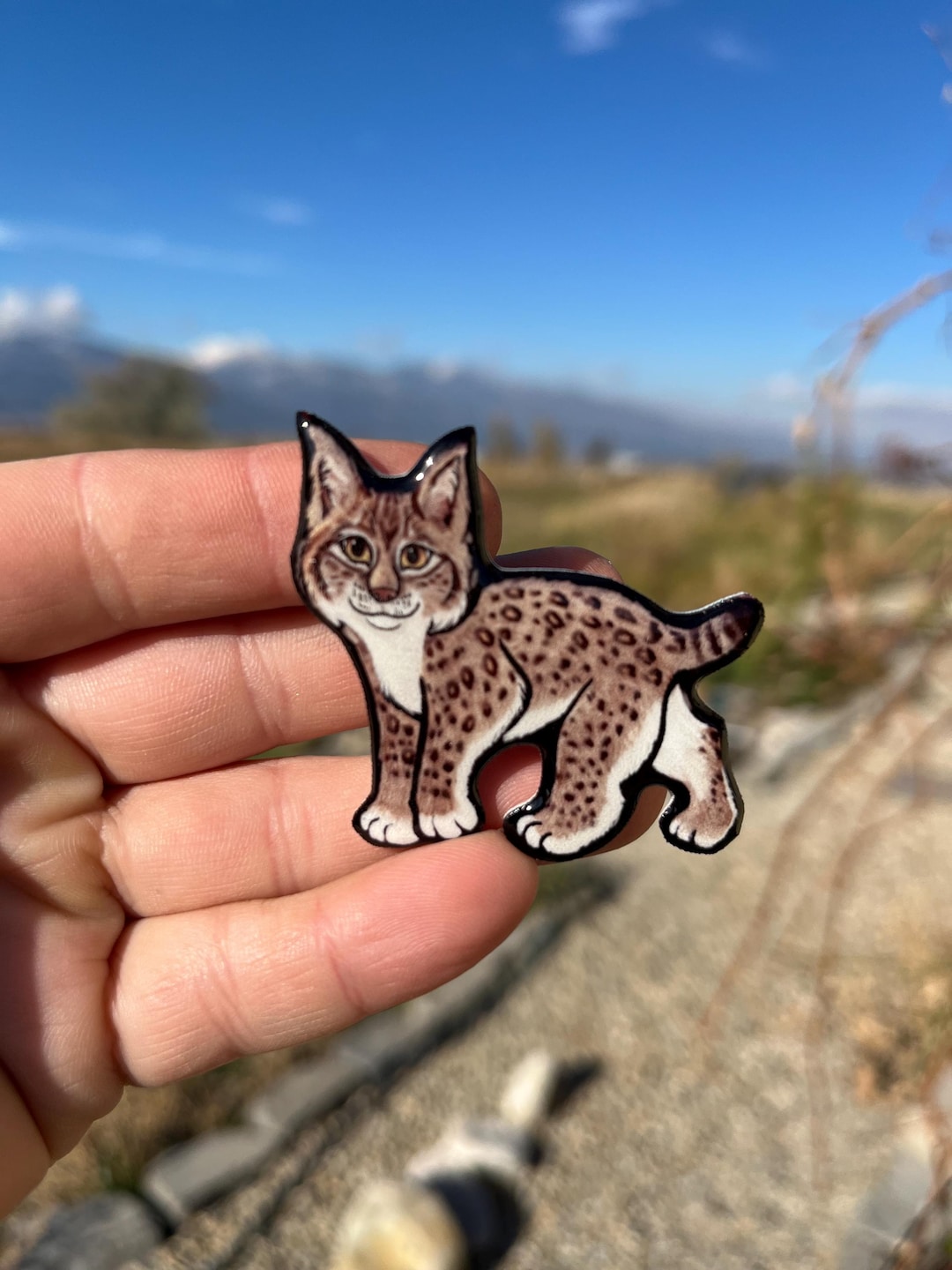 Lynx Magnet: Gift for Cat Lovers, Vet Techs, Veterinarians, Zookeepers ...