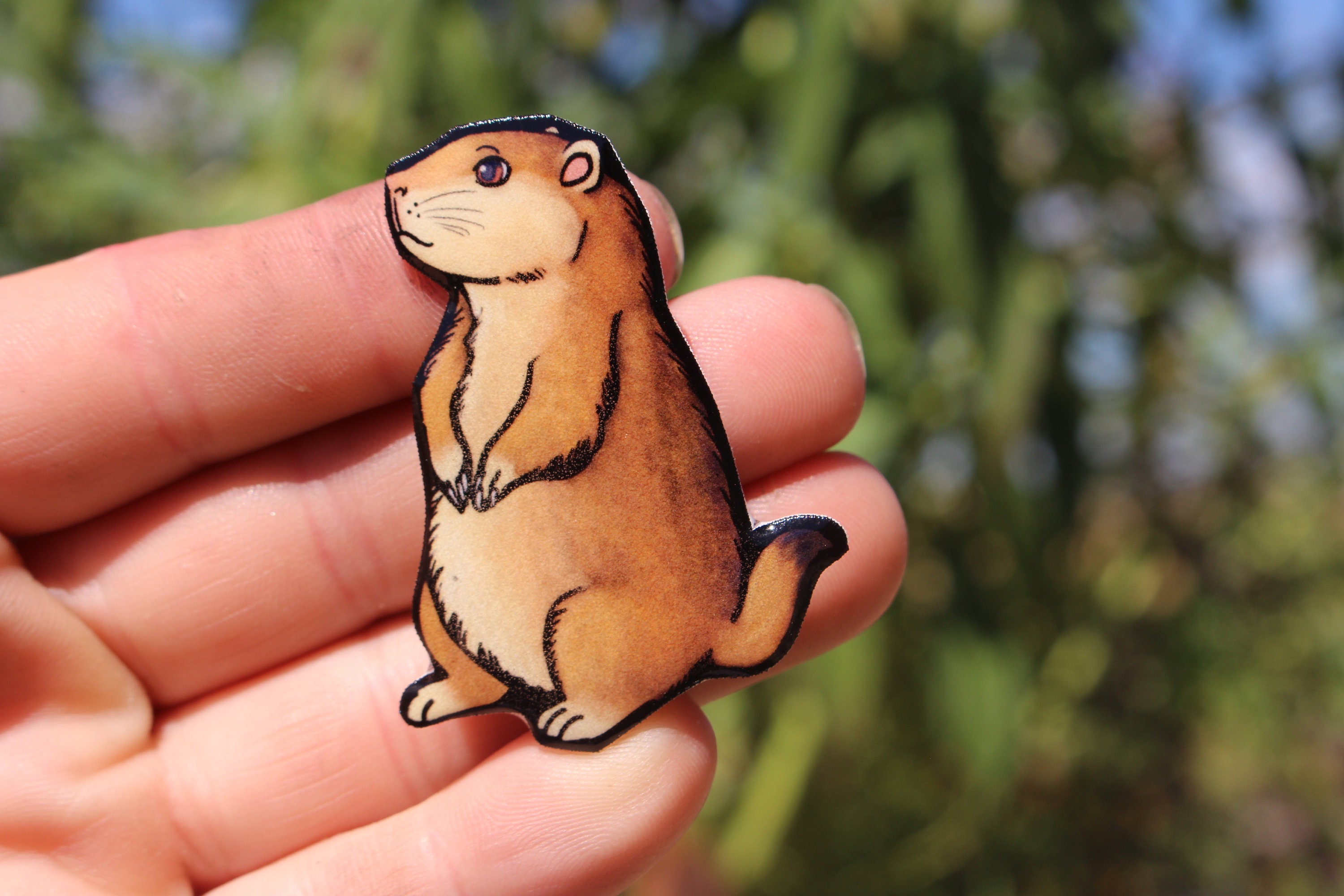 Do You Need To Take Prarie Dogs To The Vet