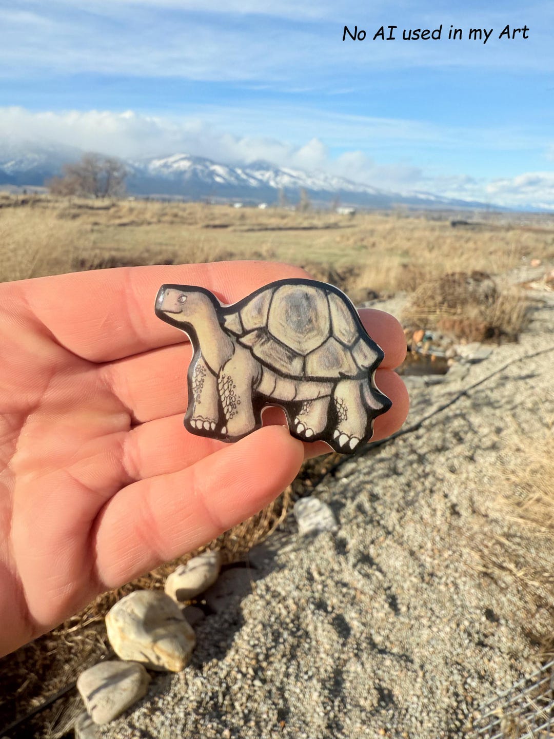 Galapagos Tortoise Magnet: Gift for Turtle Lover, Vet Tech, Zookeeper ...