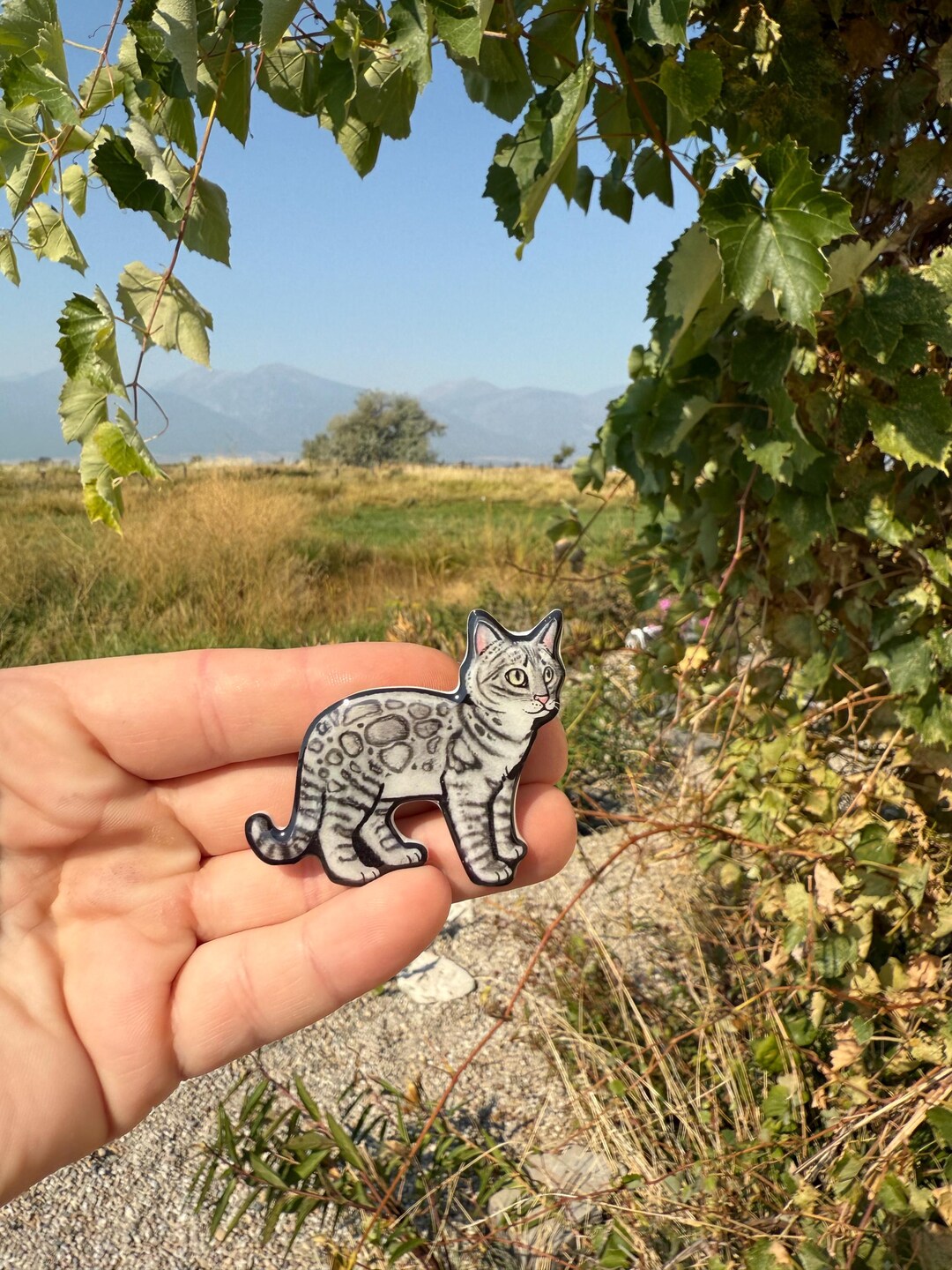 Gray Bengal Cat Magnet: Gift for Animal Lover, Vet Tech, Zookeeper ...
