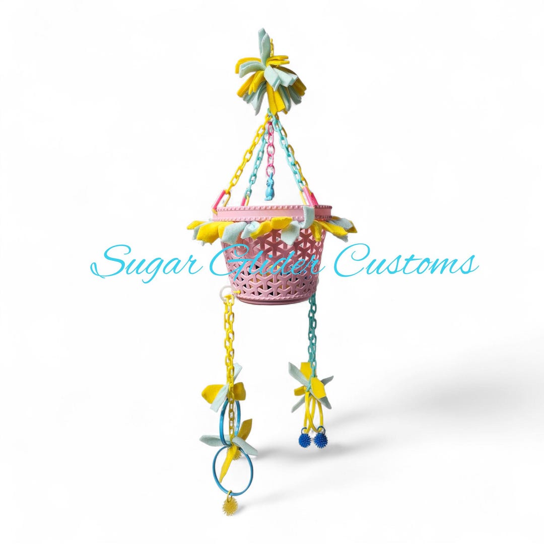 Ball Pit Sugar Glider and Marmoset Foraging Toy and Pulley Rings - Etsy