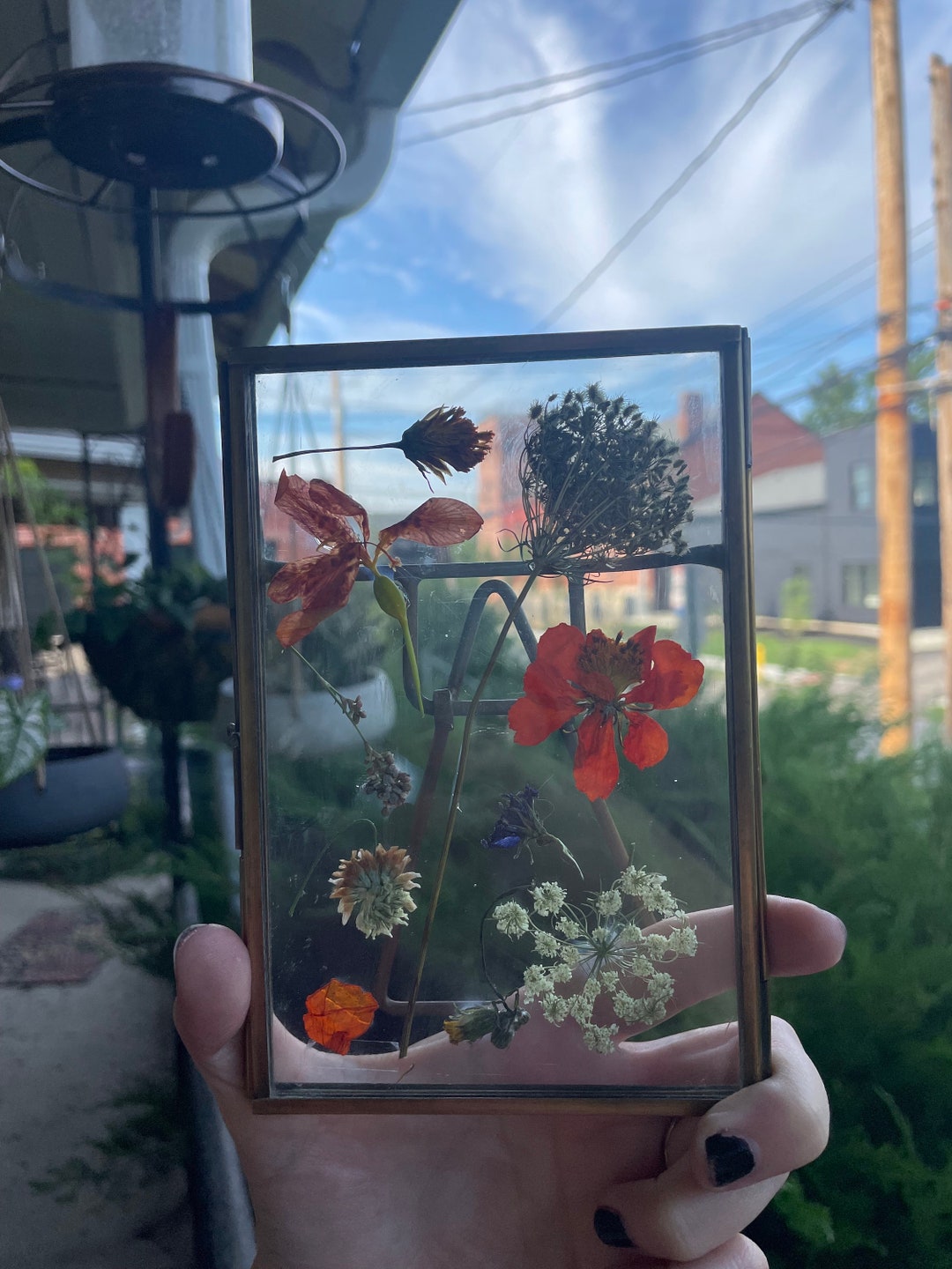 Fall Colors Pressed Flower Glass Frame - Etsy