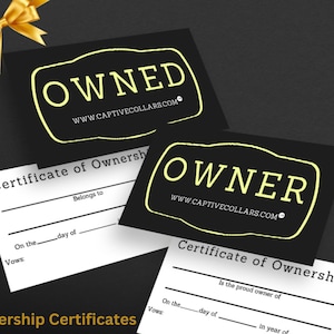 Hex Key Bracelet or Necklace Day Collar Key - Etsy