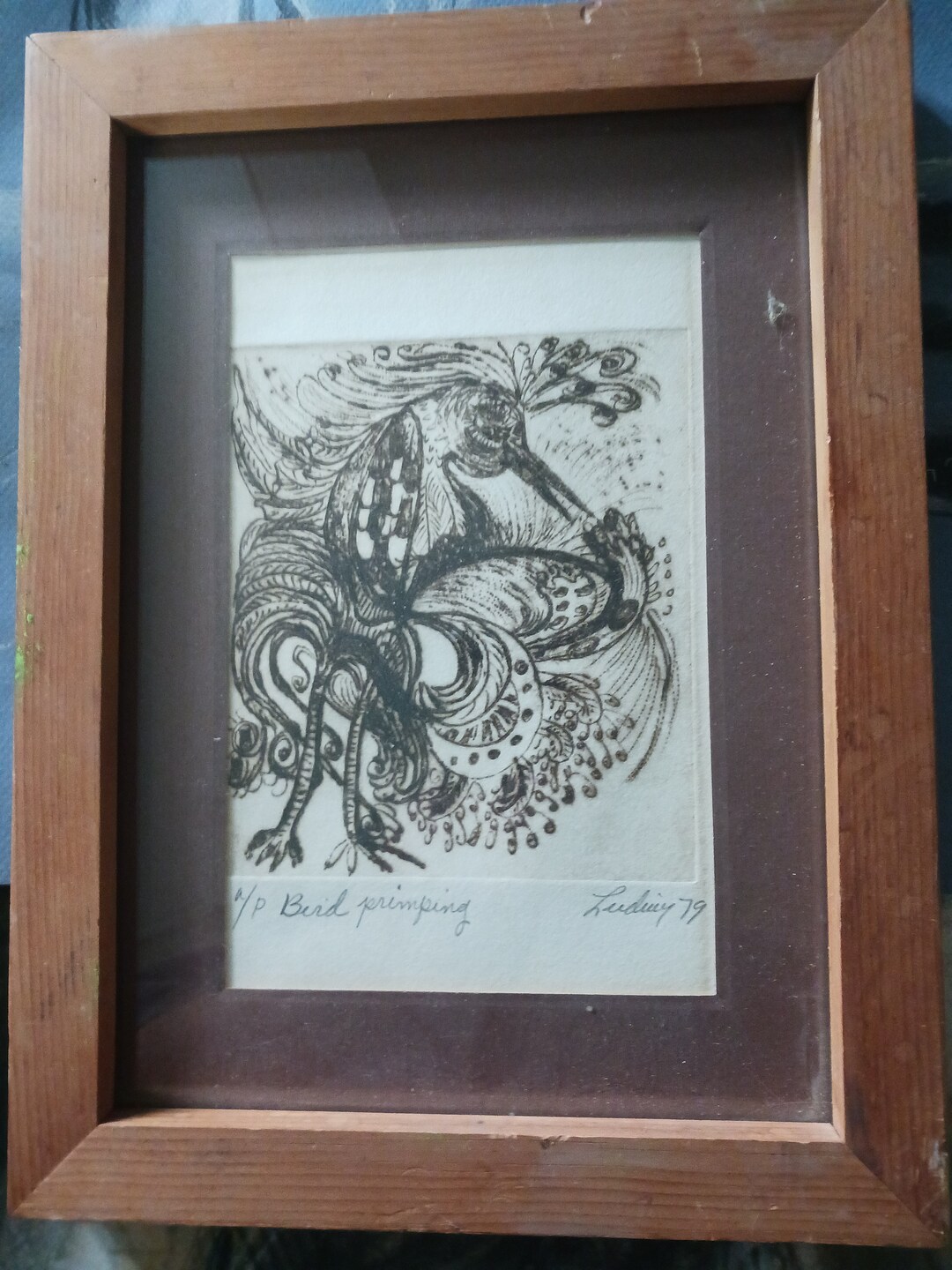 Vintage Artist Proof, Charcoal on Paper, Bird Primping - Etsy