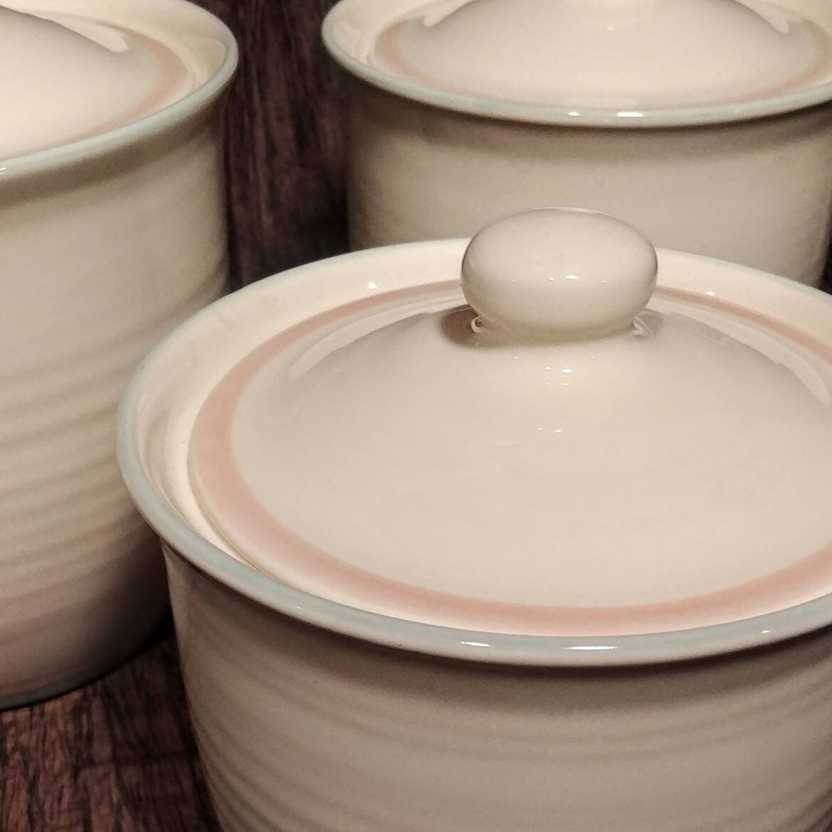 Set of Three Pfaltzgraff Aura Pink Canister Set - Etsy