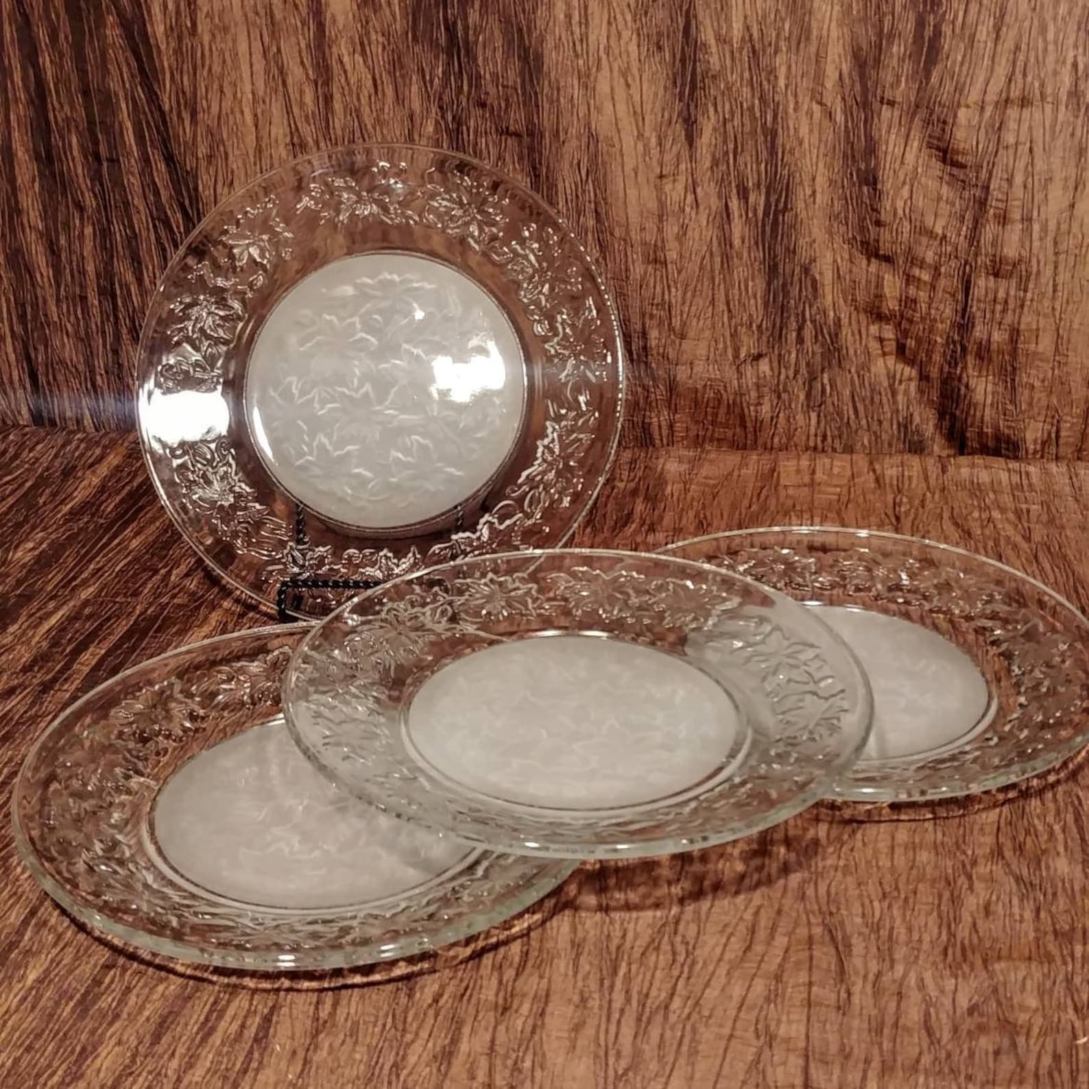 Set of 4 Princess House Fantasia Dinner Plates 10" - Etsy