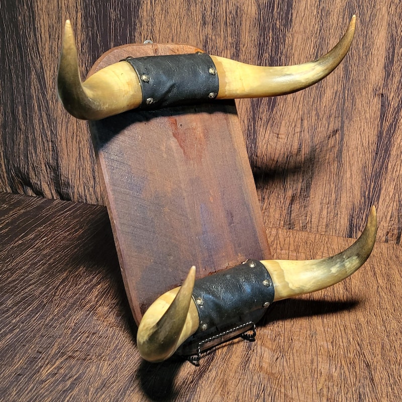 Real Bull Horns - Etsy