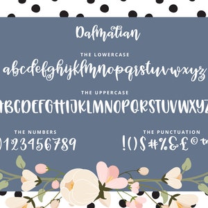 Dalmatian Script Font, Handwritten Font, Handlettered Font, Modern ...