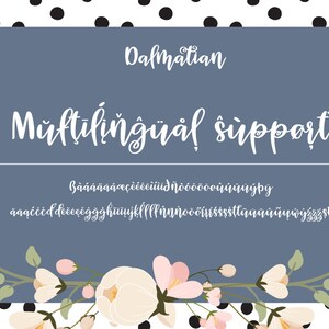 Dalmatian Script Font, Handwritten Font, Handlettered Font, Modern ...