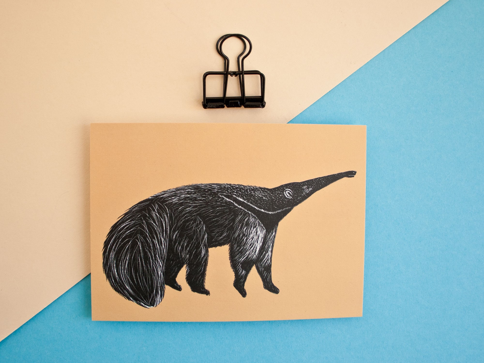 Anteater postcard greeting card animals | Etsy