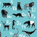 Animal Abc-poster, Illustrated German Alphabet Poster for Kids - Etsy