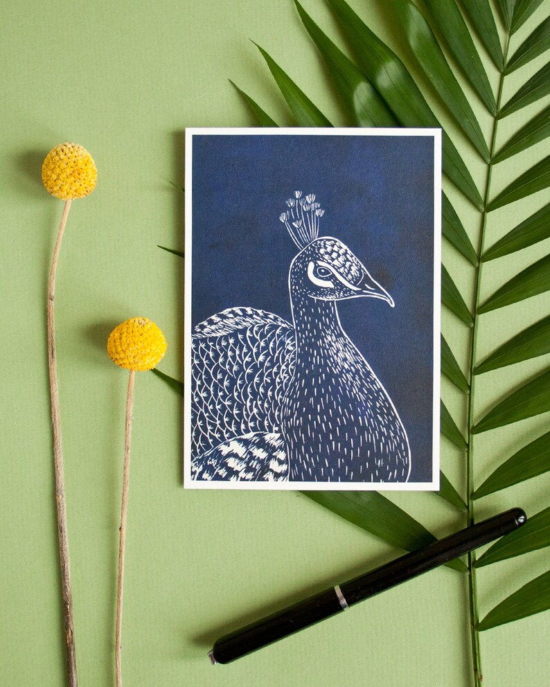 Peacock postcard postcard of a linoprint greeting card bird | Etsy