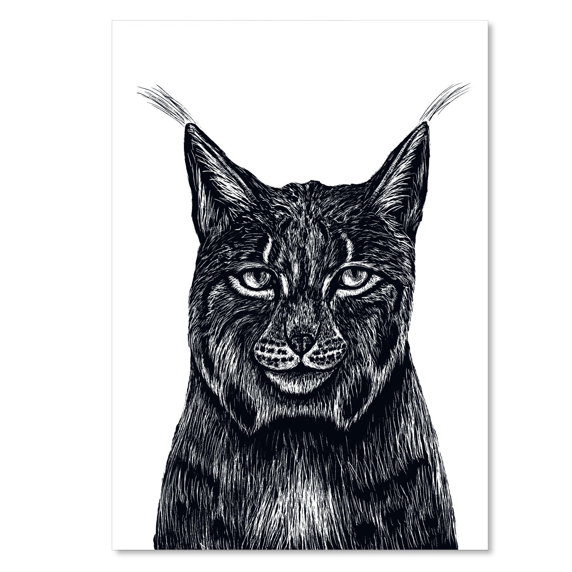 Poster Luchs A4 Tierillustration - Etsy.de