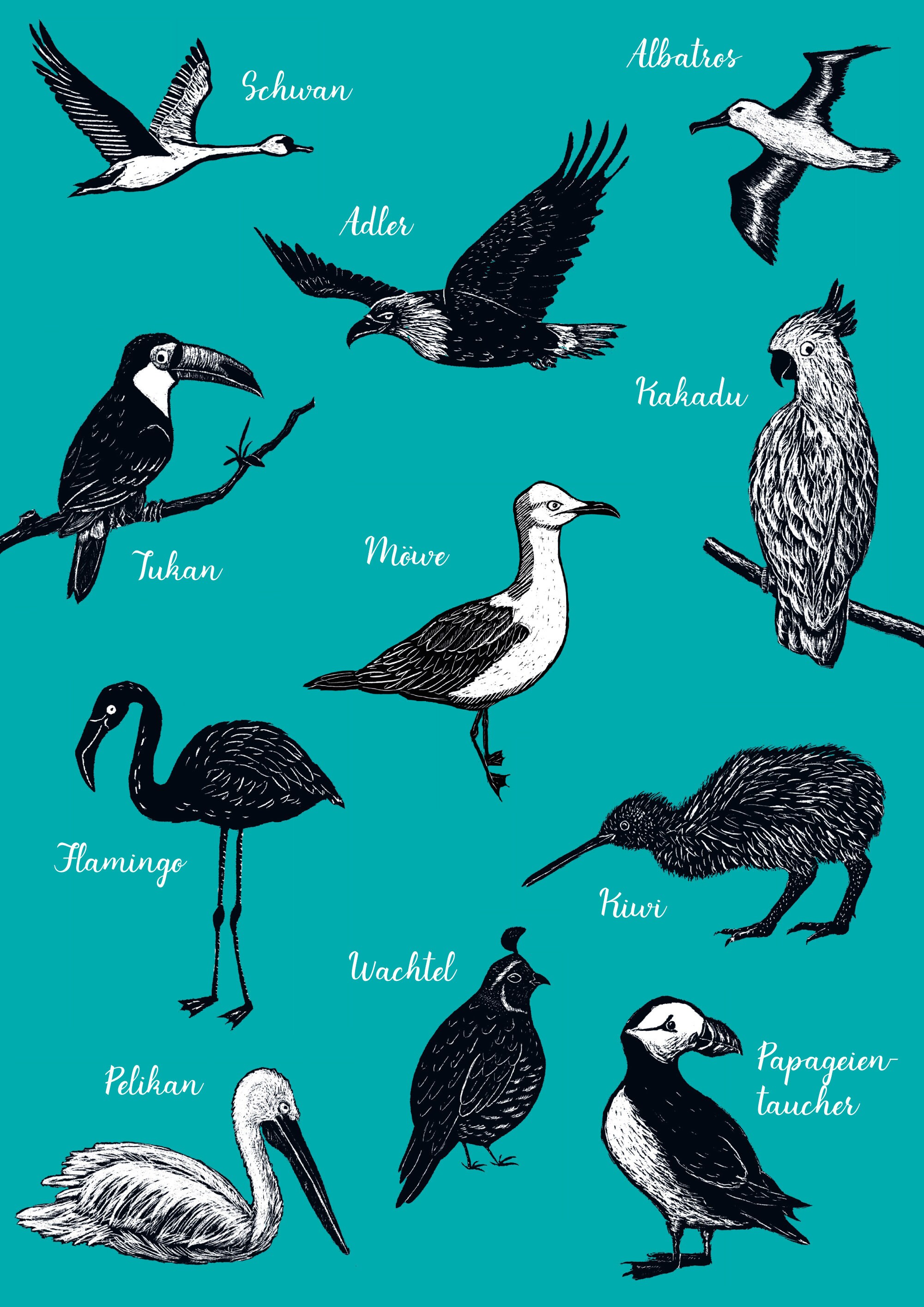 Poster Birds A4 - Etsy