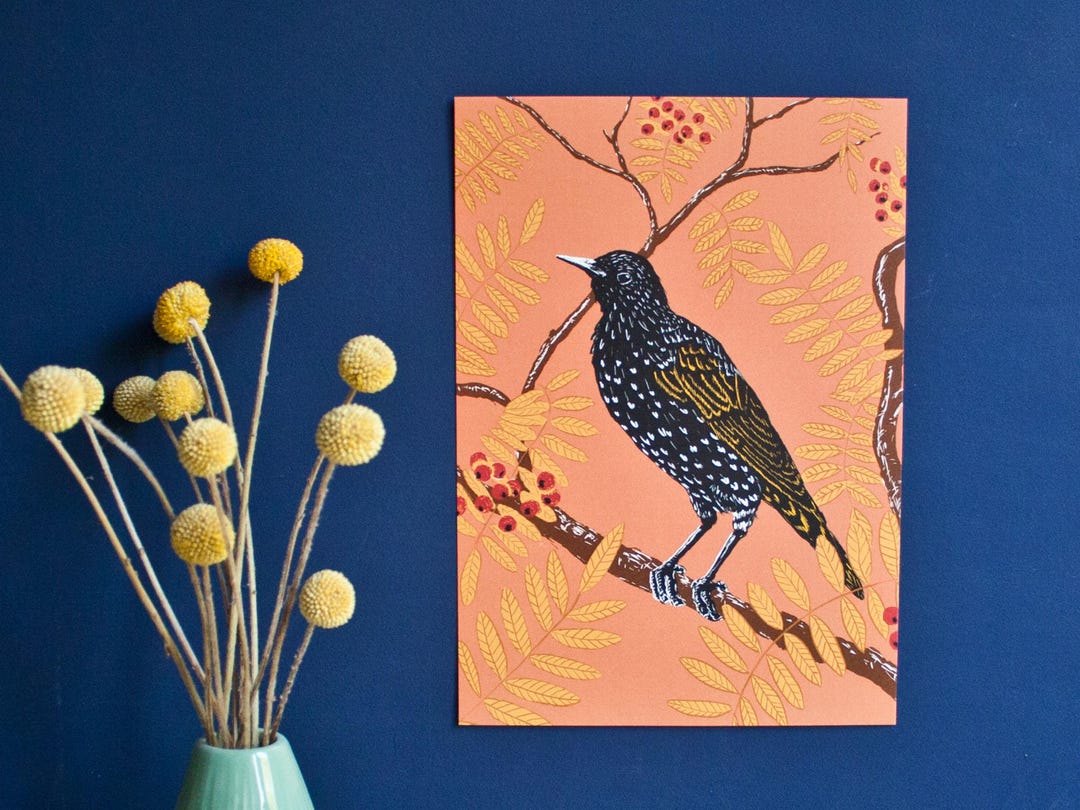 Starling Poster, Bird Illustration Print - Etsy