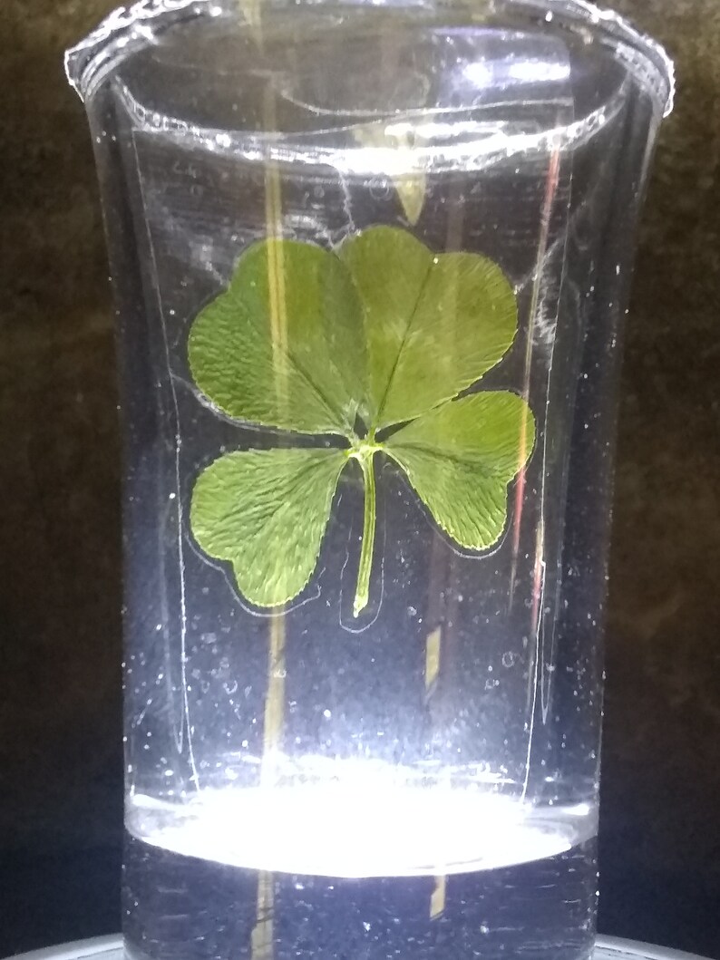 Personalized Four Leaf Clover Shot Glass Laminated Clover Etsy