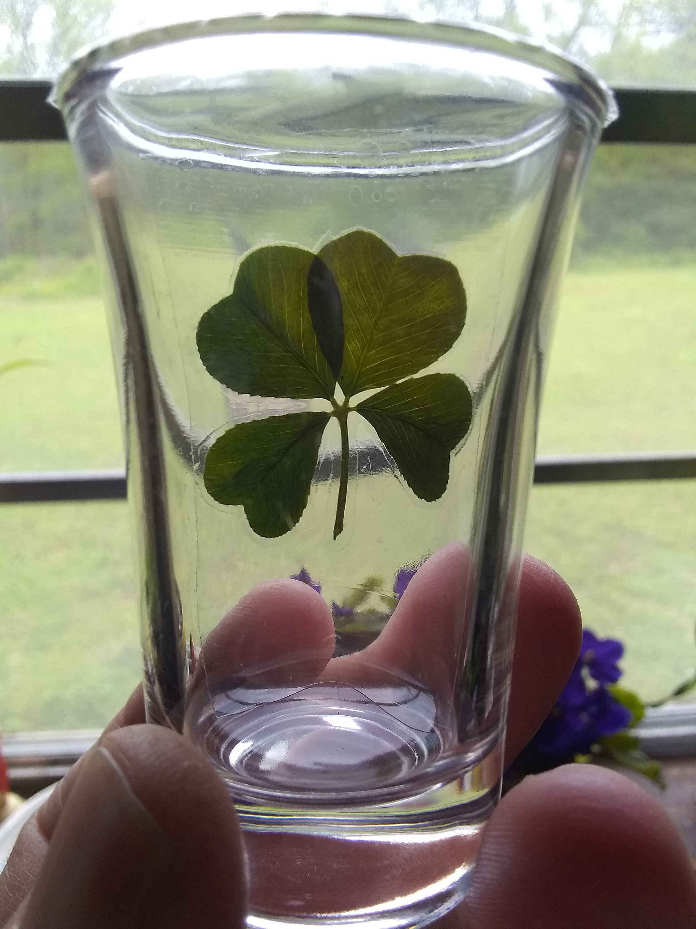 Personalized Four Leaf Clover Shot Glass Laminated Clover Etsy