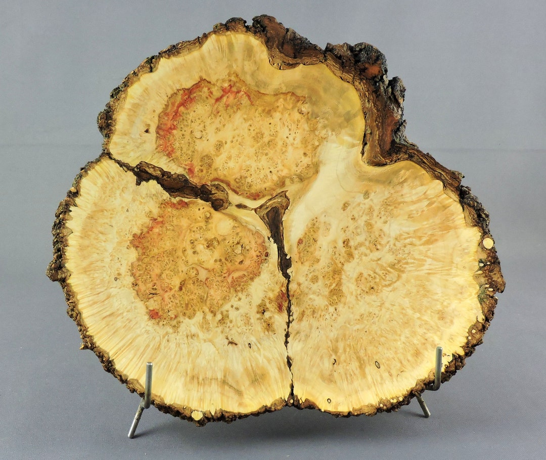 Box Elder Platter - Etsy