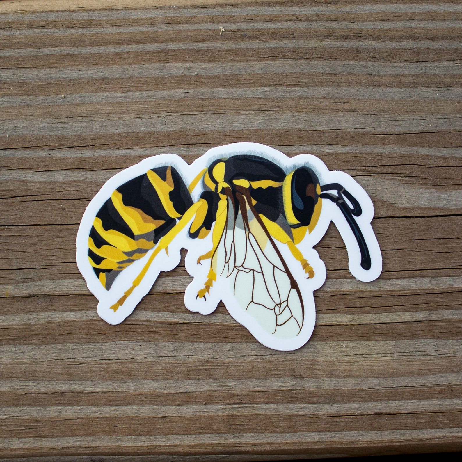 Eastern Yellow Jacket Original Illustration Sticker - Etsy