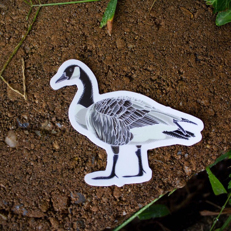 Canada Goose Original Illustration Sticker - Etsy