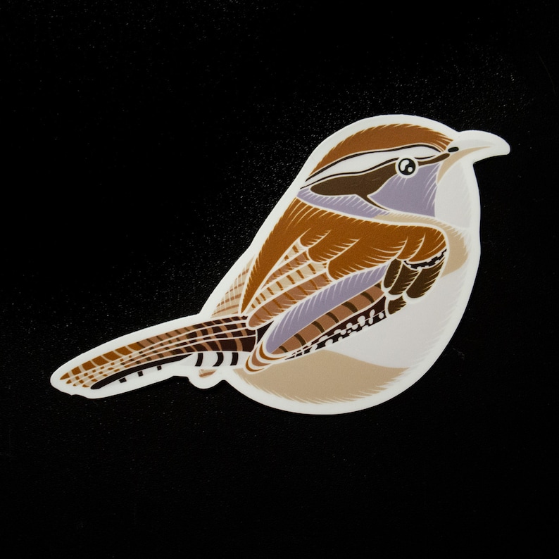 Carolina Wren Original Illustration Sticker - Etsy