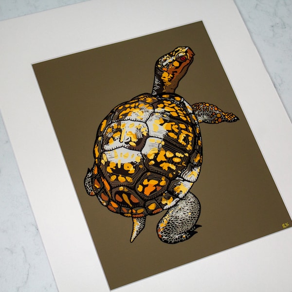 Box Turtle - Etsy