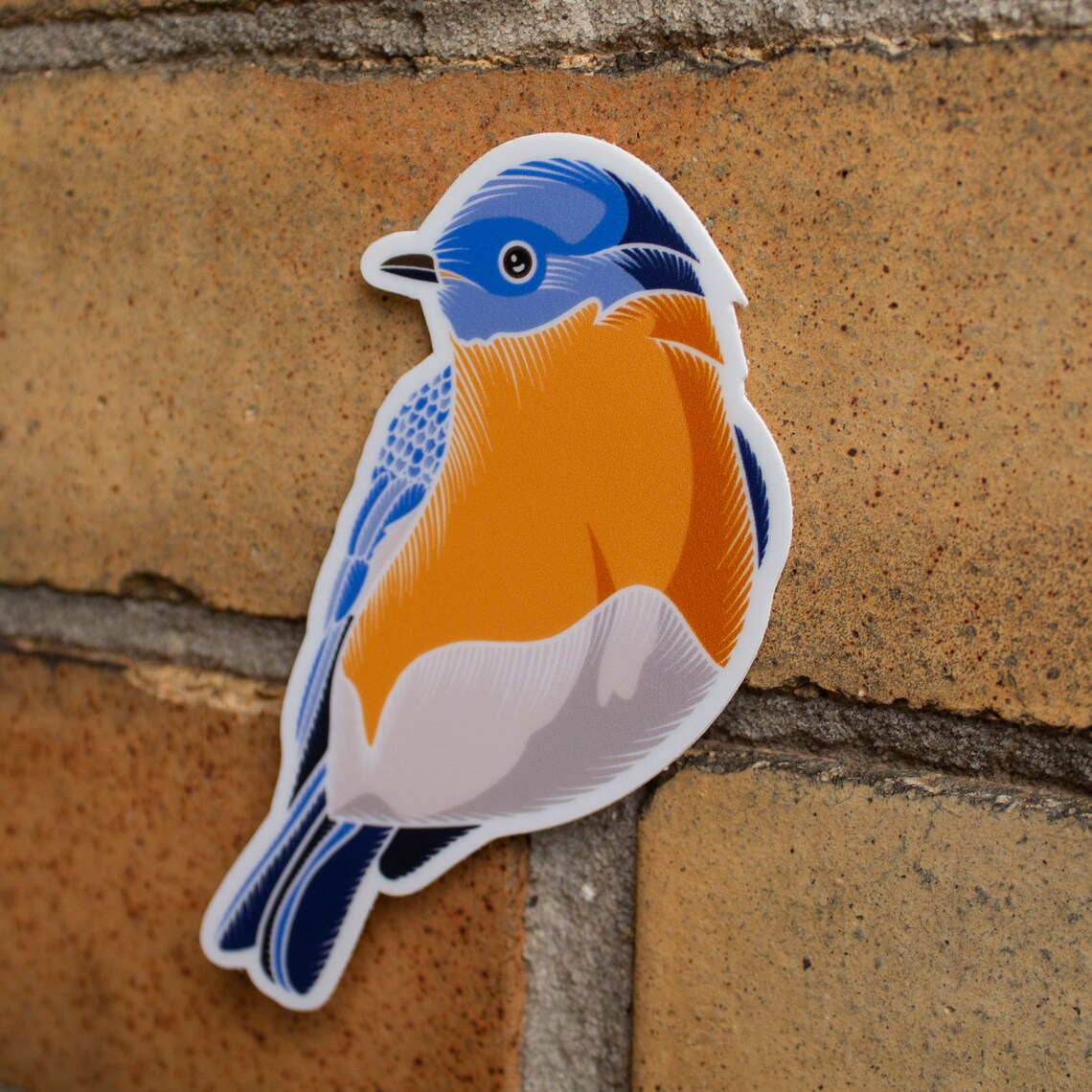 Eastern Bluebird Original Illustration Sticker - Etsy