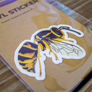 Eastern Yellow Jacket Original Illustration Sticker - Etsy