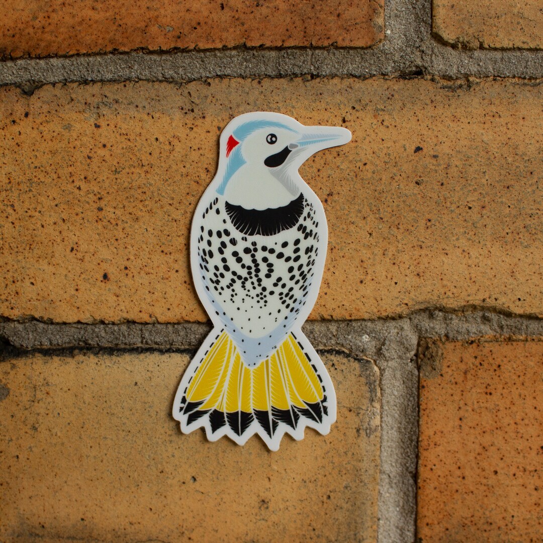 Northern Flicker Original Illustration Sticker - Etsy