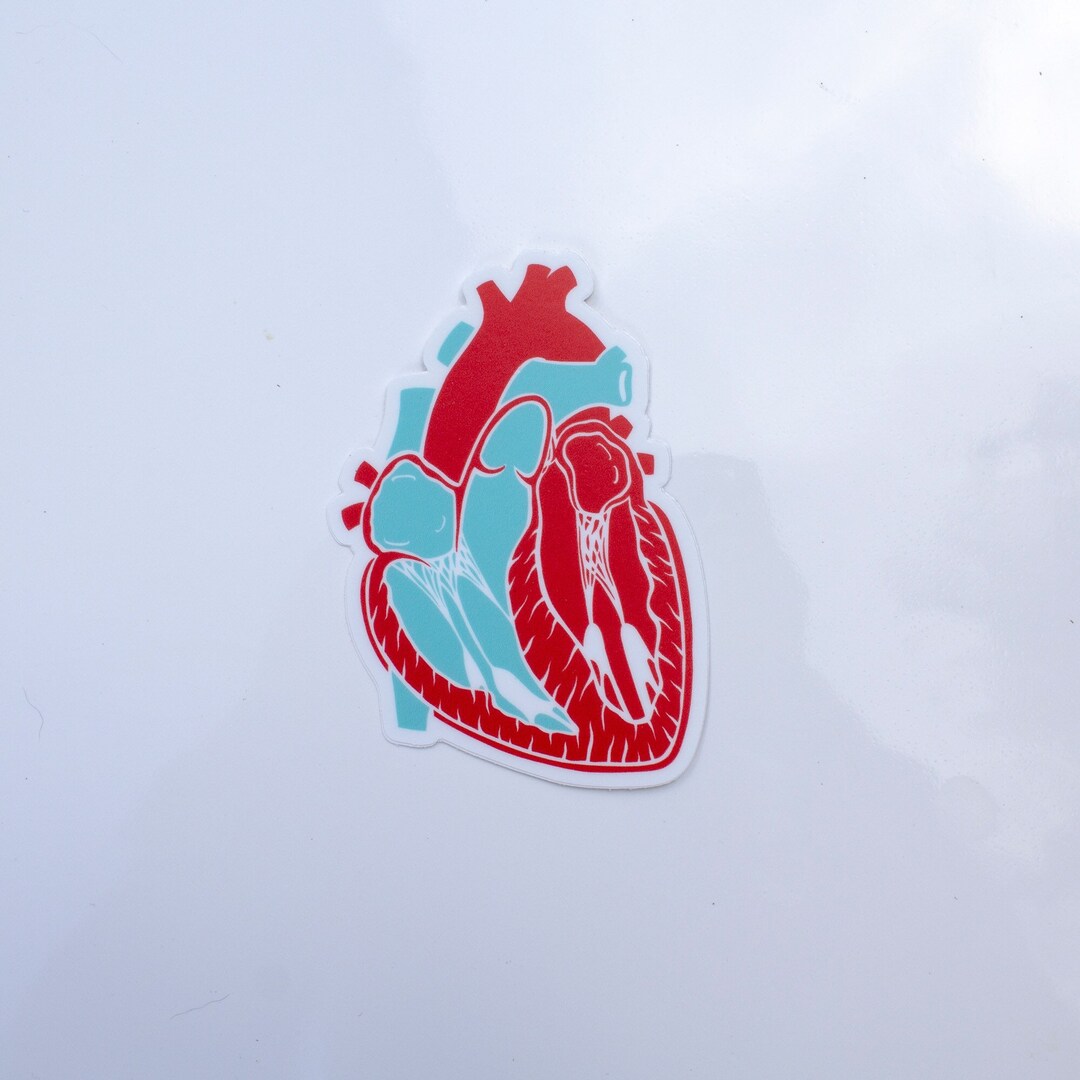 Heart Original Illustration Sticker - Etsy