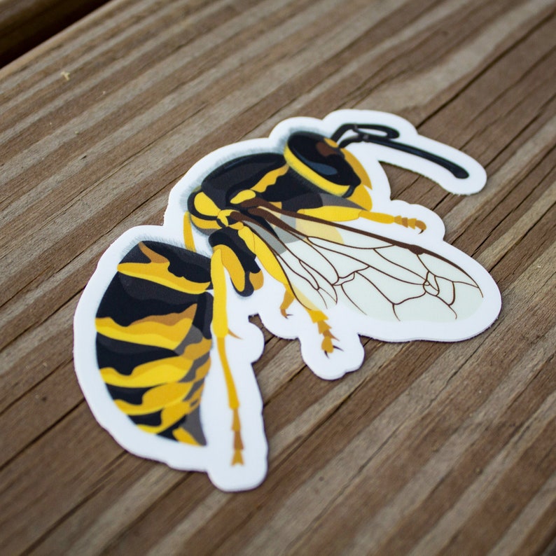 Eastern Yellow Jacket Original Illustration Sticker - Etsy