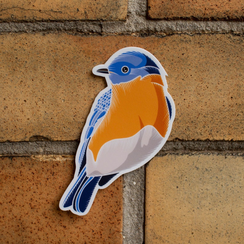 Eastern Bluebird Original Illustration Sticker - Etsy