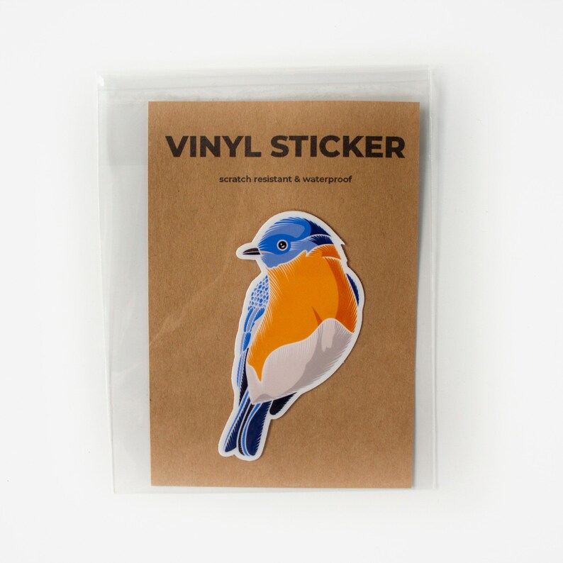 Eastern Bluebird Original Illustration Sticker - Etsy