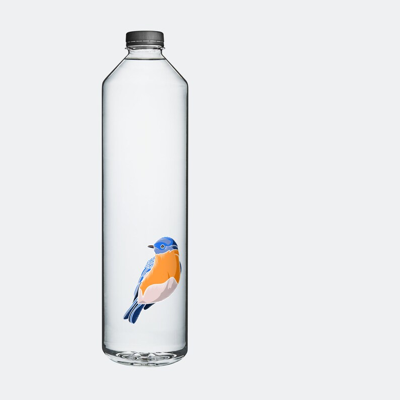 Eastern Bluebird Original Illustration Sticker - Etsy