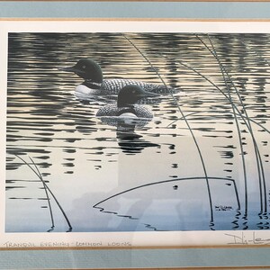 Loons Framed Print by Don Li-leger/tranquil Evening-common Loons Framed ...