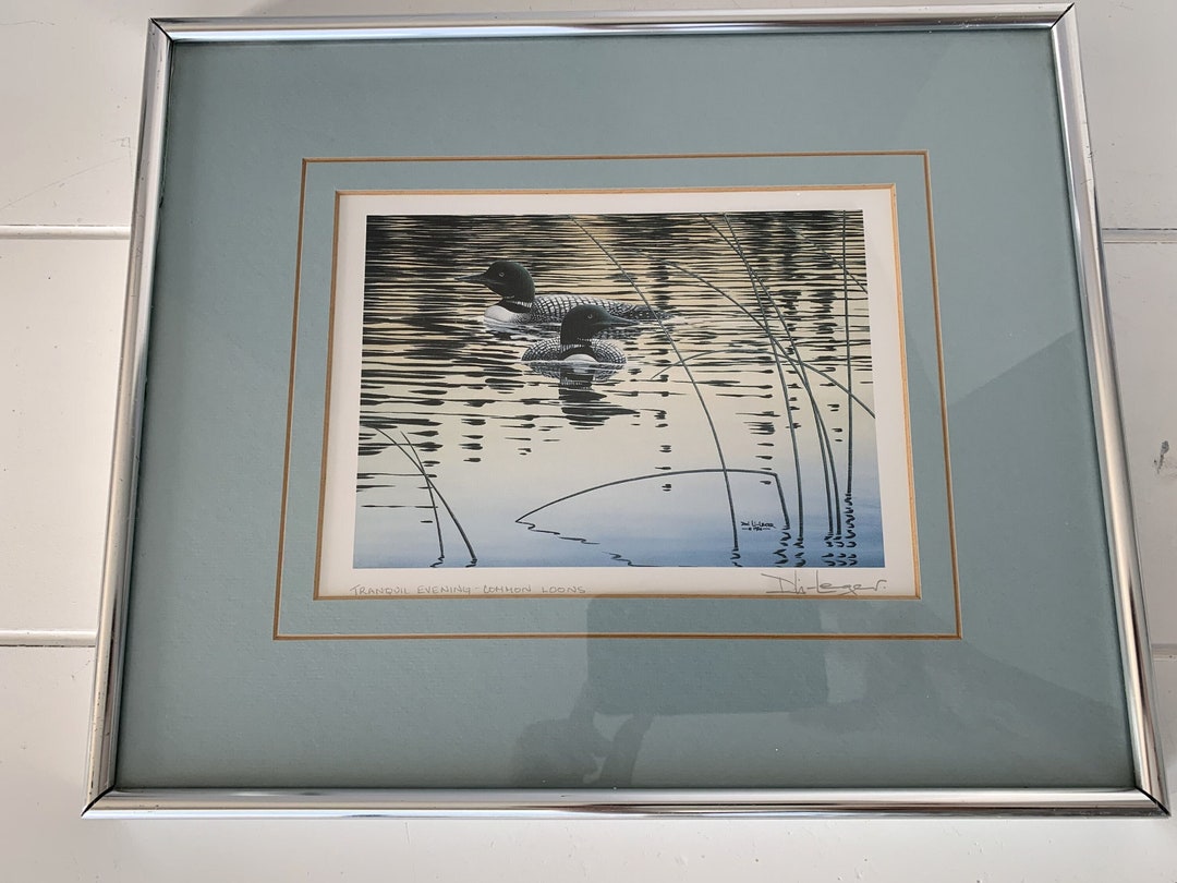 Loons Framed Print by Don Li-leger/tranquil Evening-common Loons Framed ...