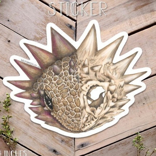 Lizard Skull - Etsy