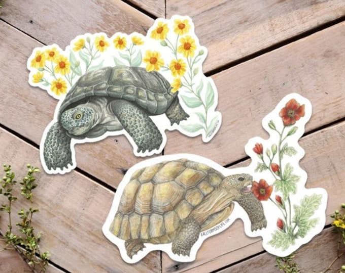 Desert Tortoise II | 7 X 7 | Original Linocut Relief Print | by Carol ...